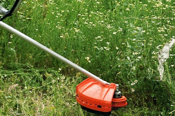 How to Store Weed Wacker - Fairfax City Self Storage